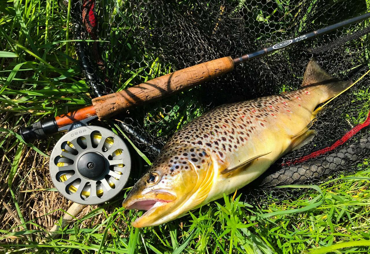 Lendõnge koolitus forell meriforell flyfishing trout – Kalastusgiidi ...